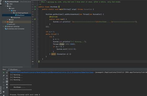 Bypass Shutdownhook Coolcat Blog