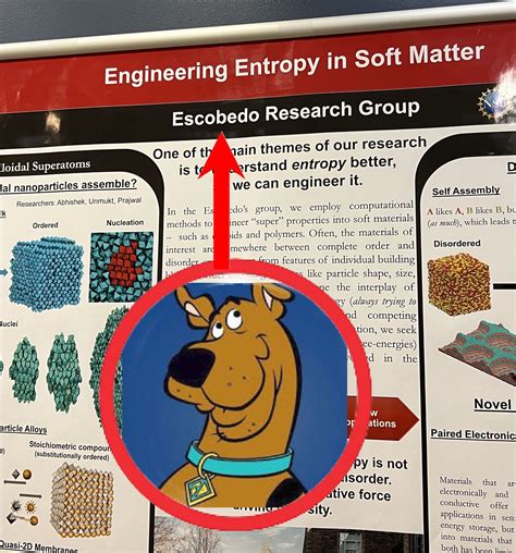 engineering entropy in soft matter r cornell