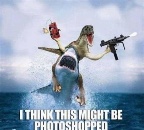 Shark Week Memes Fun