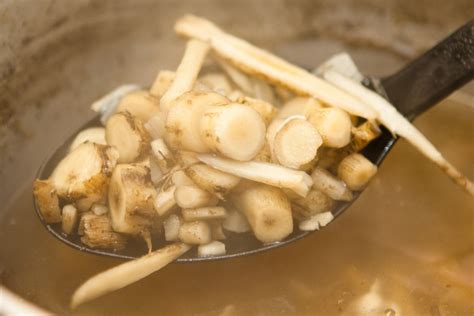 Burdock A Great Cleanser Prairie Shore Botanicals