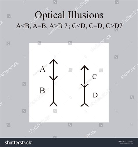 Optical Illusion Two Segments Equal Length Stock Vector Royalty Free