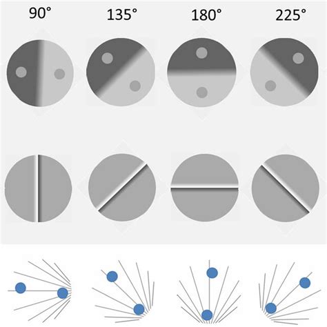 Displayed Are All Stimulus Orientations Used For The Three Illusions