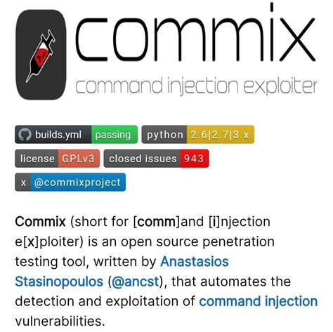 Automated All In One Os Command Injection Exploitation Tool Svyatoslav Pavlov