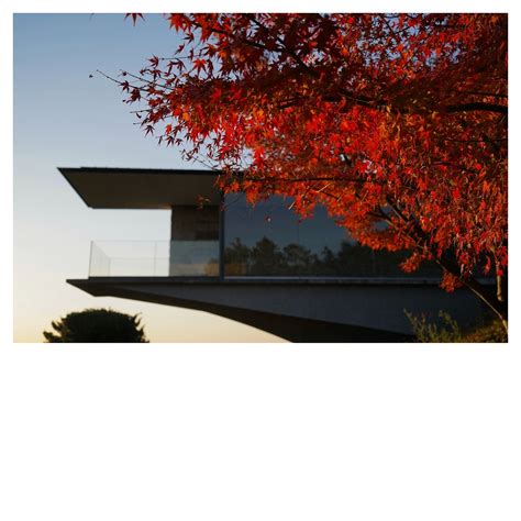 小田原文化財団 江之浦測候所 December 18 2024 07 06am Sunny 🍁は最終段階になりました 江之浦測候所紅葉状況 Autumnleaves 紅葉