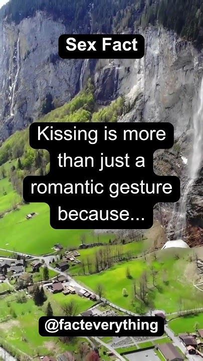 Fact Sex Bodypositivity Healthylovelife Intimacyfacts Youtube