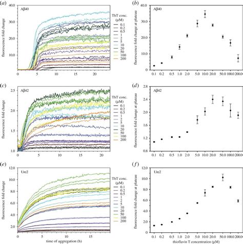 Thioflavin T As An Amyloid Dye Fibril Quantification Optimal Concentration And Effect On