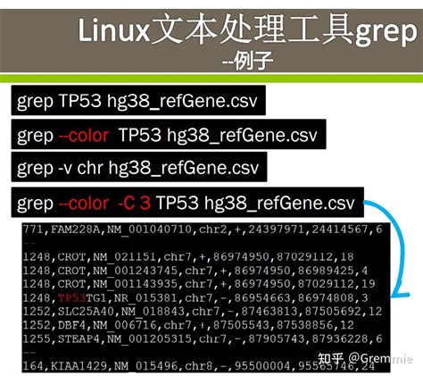 Linux文本处理工具awksedgrep等 知乎