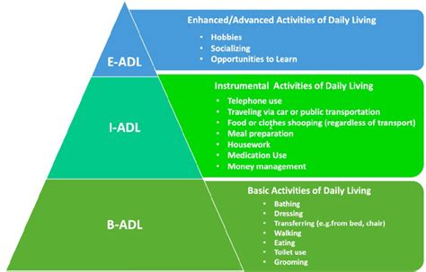 Framework Adapted From Czaja Et Al P 257 29 And De Vriendt Et Al