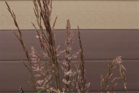 Composite Cladding Gallery EnviroBuild