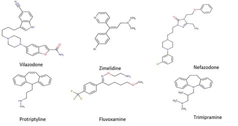 Fig5 The Correct Predicted Molecules In The Rf Model Download Scientific Diagram