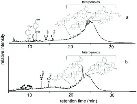 Reconstructed Gas Chromatography Mass Spectrometry Gc Ms Total Ion