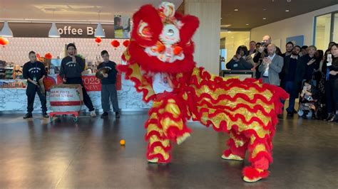 [video] Connie Yang On Linkedin Ey Lunarnewyear Liondance 舞獅 年初三