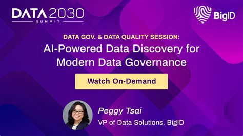 Ai Powered Data Discovery For Modern Data Governance Bigid