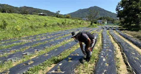 전국 꿀벌들이 찾아오는 맛집이 대전에 윙윙 대청호 꿀벌식당