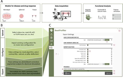Figure 1 From Beatprofiler Multimodal In Vitro Analysis Of Cardiac Function Enables Machine
