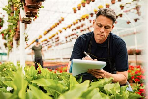 Navigating Agricultural Challenges El Niños Impact And Market