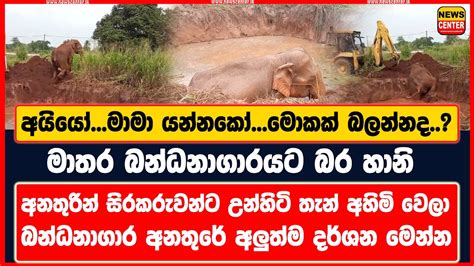 අයියෝ මාමා යන්නකෝ වගා ළිඳට වැටුණු වන අලියා ගොඩ ගන්න කට්ටියම දුන්න දැවැන්ත ගේම මෙන්න Youtube