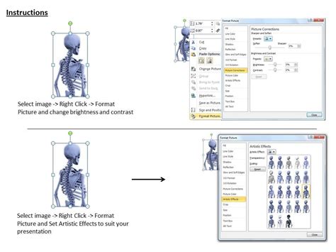 Model Of Human Body Skeleton Image Graphics For Powerpoint PowerPoint Shapes PowerPoint
