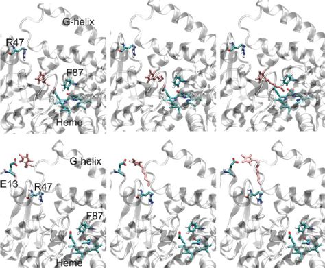 Final Conformations From Molecular Dynamics Docking Simulations Top Download Scientific