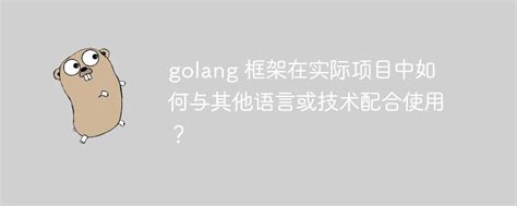 golang 框架在实际项目中如何与其他语言或技术配合使用？ 叮当号