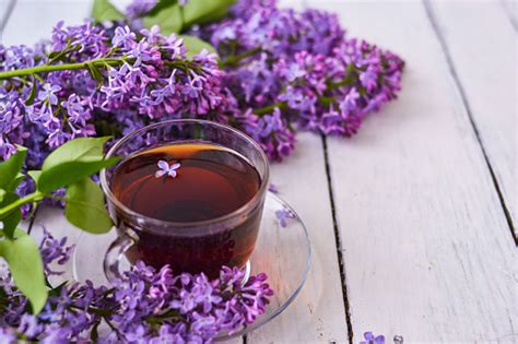 나무 흰색 배경에 라일락 꽃차 한 잔 엽서용 모캡 봄 시간 라일락을 곁들인 꽃병 텍스트공간을 복사합니다 휴일과 좋은 아침 소원의 개념 꽃 나무에 대한 스톡 사진 및 기타