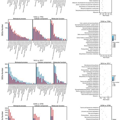 Function Classifications Of Degs A Go Functional Enrichment Download Scientific Diagram