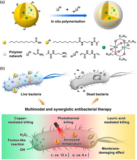 An Exceptional Broad Spectrum Nanobiocide For Multimodal And Synergistic Inactivation Of Drug