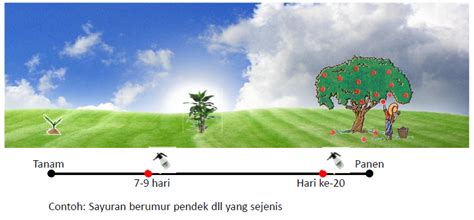 Cara Penggunaan Perekat Apsa Dan Nutrifarm Dunia Pertanian