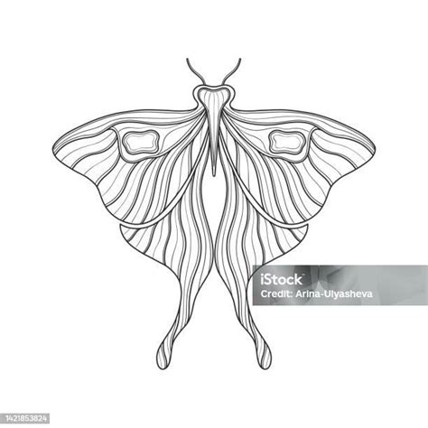 아르누보 스타일의 기본 나비 요소 19201930 년 빈티지 디자인 심볼 모티프 디자인 흰색에 고립되어 있습니다 1920 1929 년에 대한 스톡 벡터 아트 및 기타 이미지