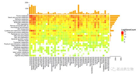 R语言教程 分享几种热图的画法 知乎