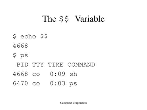 Ppt Introduction To Unix Ca263 Reading Data Powerpoint Presentation