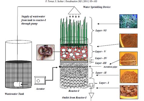 Figure 1 Schematic Diagram Of The Vemi Biofiltration Phytoremediated Plant Earthworm Used