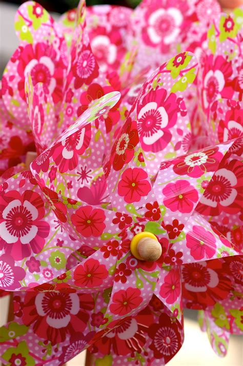 무료 이미지 놀이 꽃잎 여름 무늬 화려한 정원 담홍색 플로라 바람개비 어린이 카네이션 장난감 회전 플로리스트 리 진드기 바람 피우다 꽃 피는