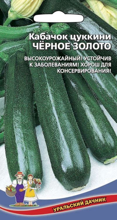 Купить семена кабачков недорого в Москве и с доставкой по всей России
