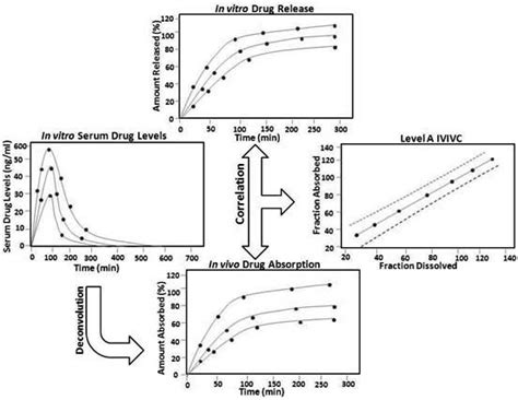 A Schematic Layout Of Level A Ivivc Level B Correlation If The