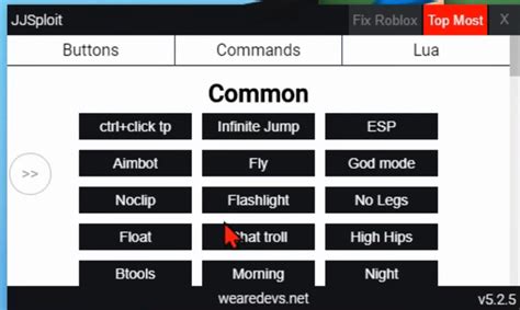 Best Roblox Script Executors [2024] Game Specifications