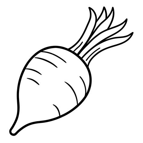 Parsnip Line Art Vector Outline Premium Ai Generated Vector