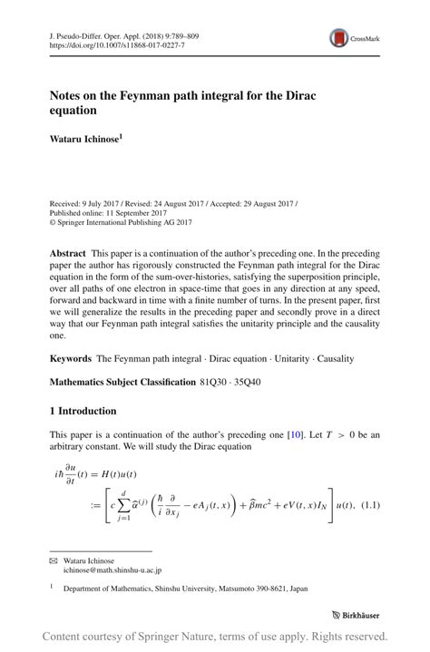 Notes On The Feynman Path Integral For The Dirac Equation