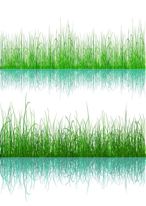 Premium Vector Green Grass Isolated On White
