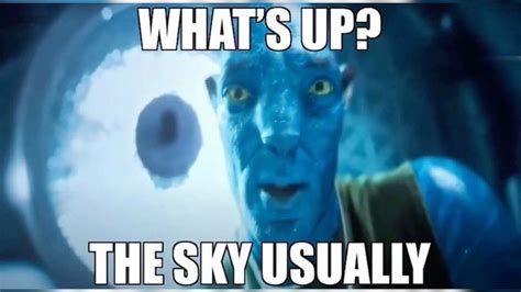 16 Compressed Avatar Ideas Avatar Funny Funny Images Funny Memes
