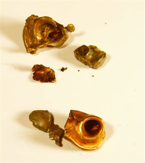 Frangible Varmint Bullets For Big Game — Ron Spomer Outdoors