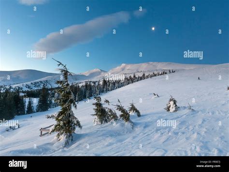 Morning Winter Mountain Landscape With Clouds Moon And Fir Trees On