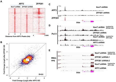 Zfp281 Is A Major Cofactor Of Aff3 In Regulating Gene Expression In Download Scientific Diagram