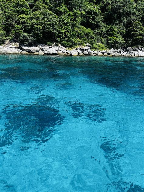 [mobaxterm] Ssh 접속 안될 때