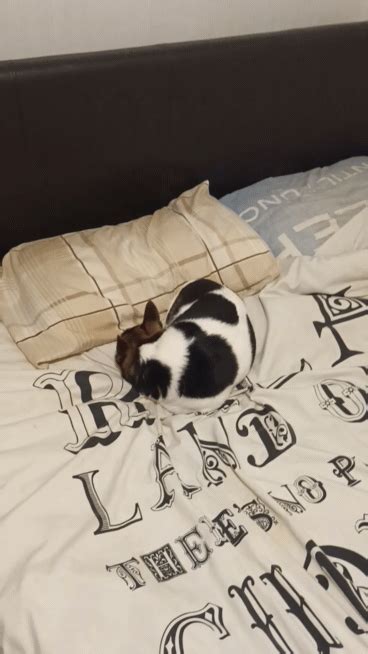 Dinner Time Album On Imgur