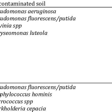 API Microbial Identification System For Uncontaminated And Download Scientific Diagram