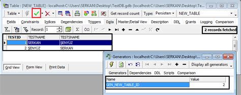 Serkan Şenyüz Interbase Database Primary Key Generator Trigger Procedure