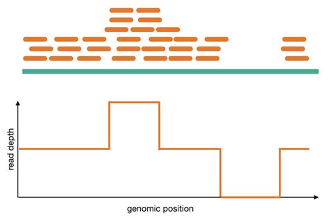 Structural Variation In Short Reads Nygc Sequence Informatics Workshop
