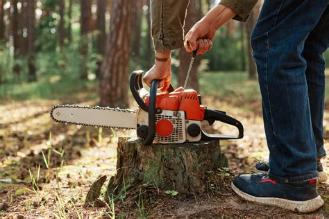 The Best Advice On Diy Tree Removal And Cutting Dynamic Tree Solutions