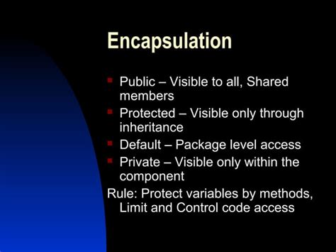 Software Development Best Practices Ppt Programming Languages Computing